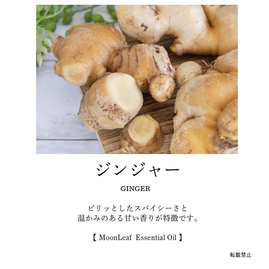 ジンジャー 10ml | MoonLeaf Marche