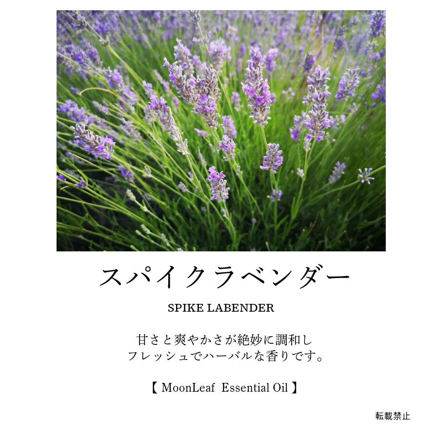 スパイクラベンダー 10ml | MoonLeaf Marche