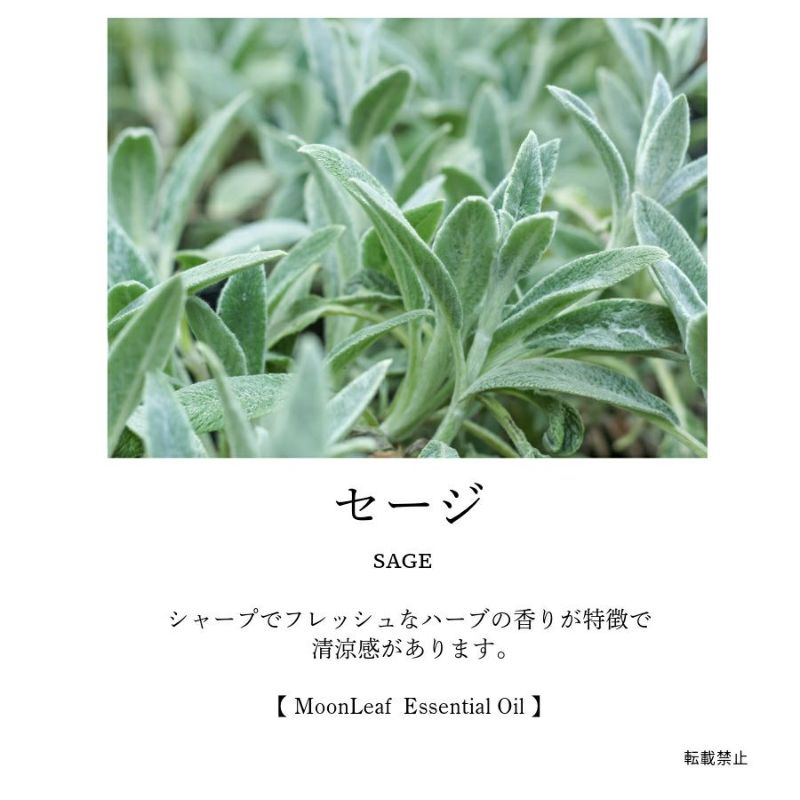 セージ 10ml | MoonLeaf Marche