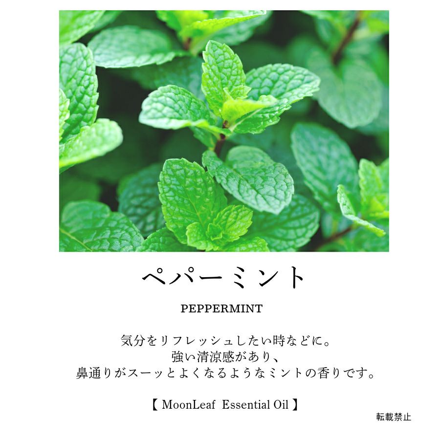 ペパーミント 10ml | MoonLeaf Marche