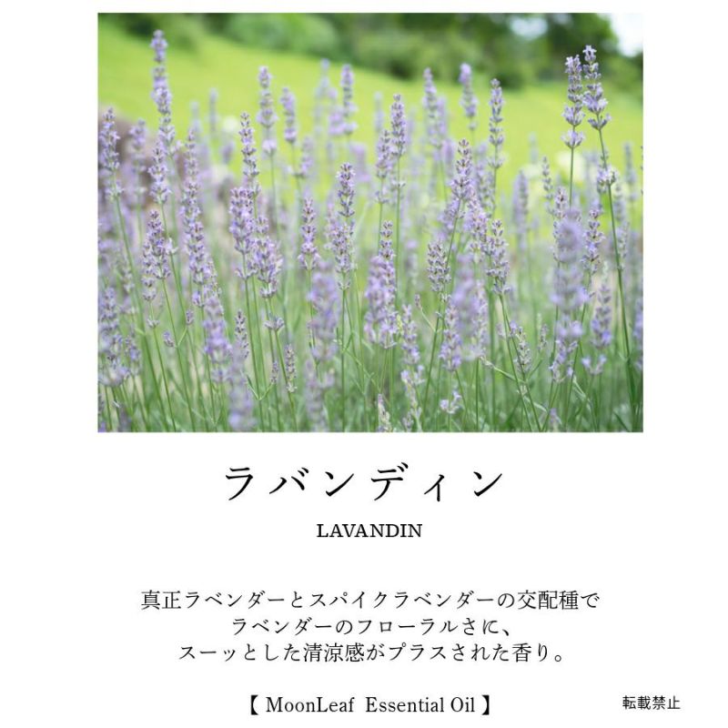 ラバンディン 10ml | MoonLeaf Marche