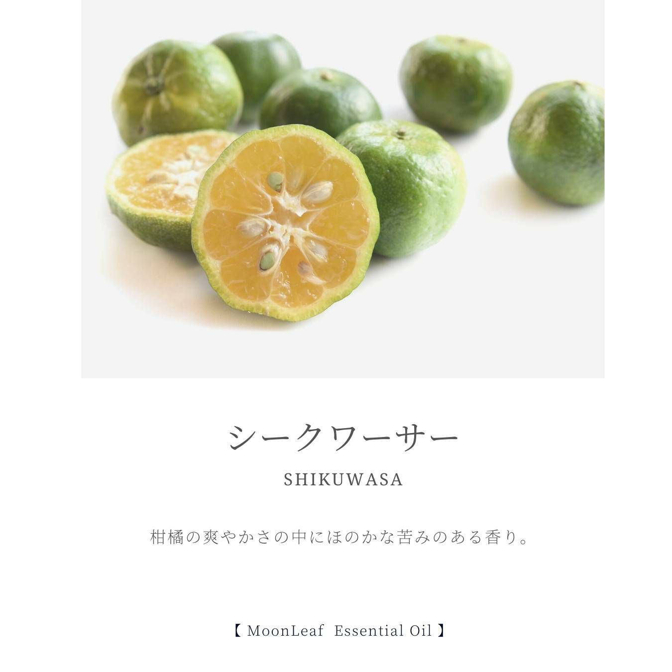 シークヮーサー 10ml | MoonLeaf Marche